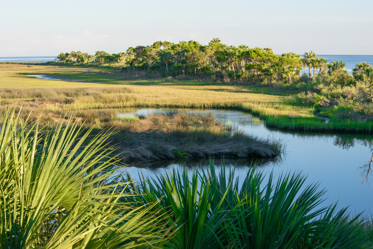 Maximize real estate success with environmental permit data | LandTech